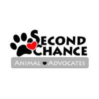 Save-A-Bull Rescue – Rescue Your Rescue