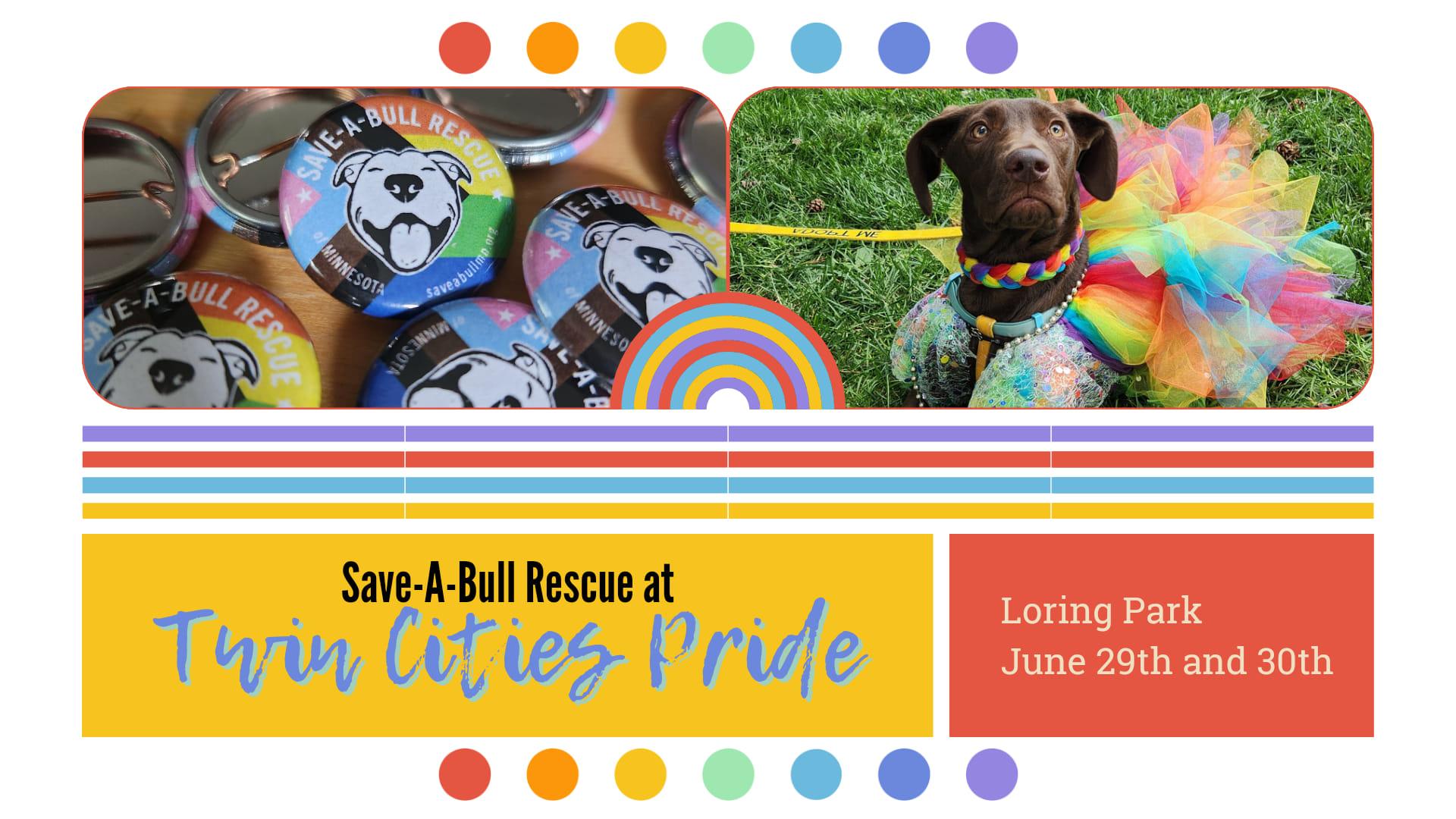 Save-A-Bull at Twin Cities Pride Festival – Save-A-Bull Rescue